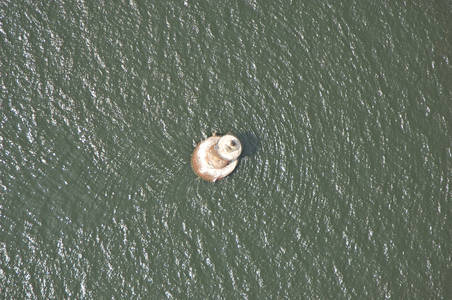 Sharps Island Lighthouse in Solomons, MD, United States - lighthouse ...