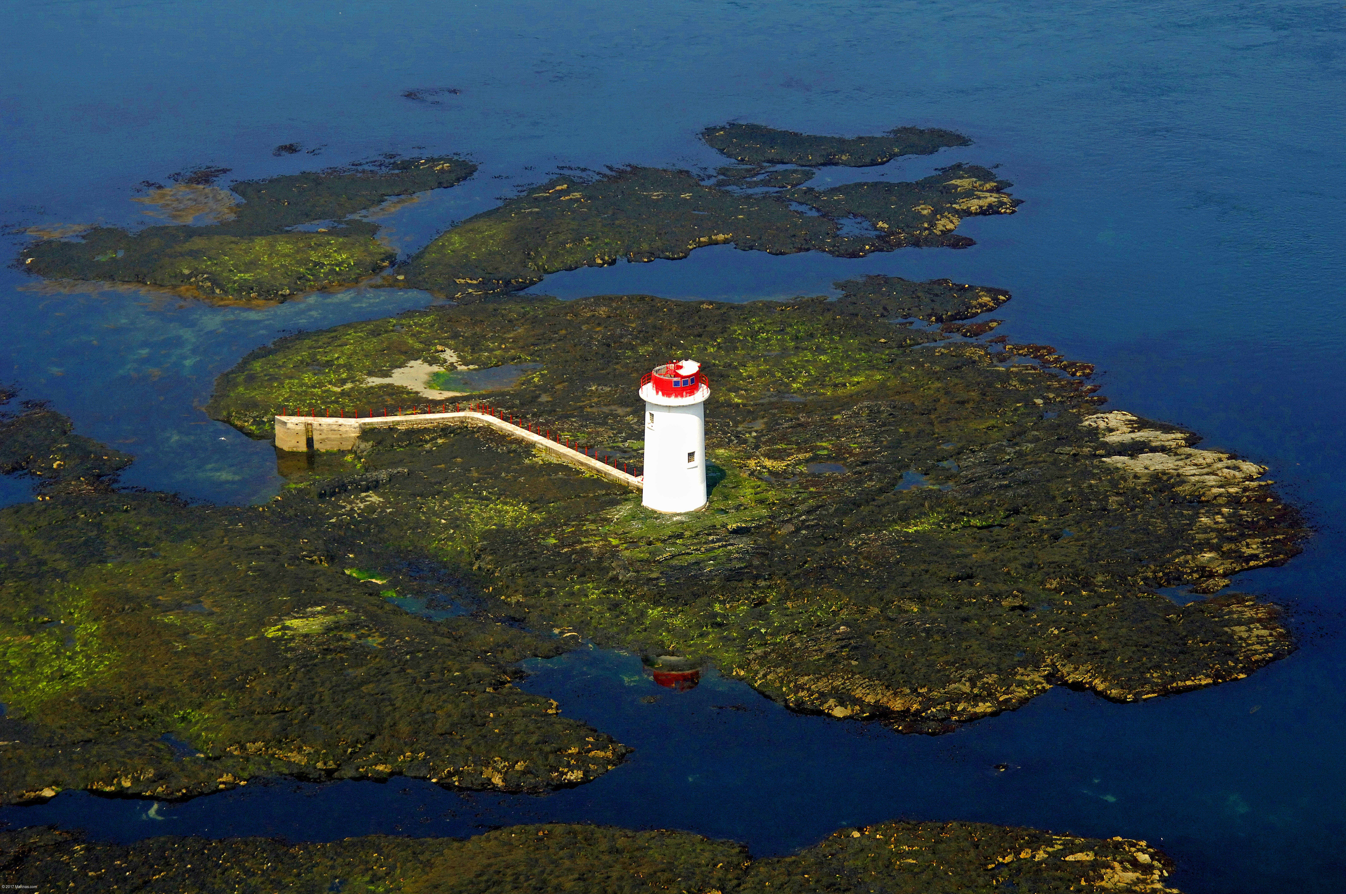 Angus Rock Lighthouse in Strangford, NI, United Kingdom - lighthouse ...