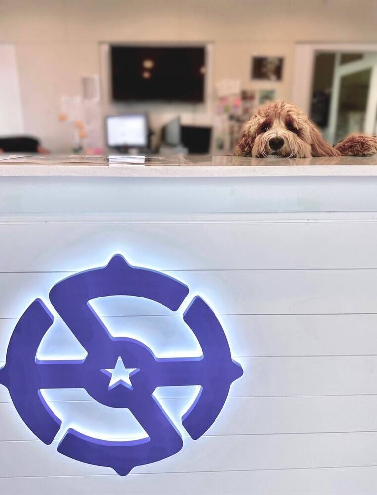 Safe Harbor Pier 121 slip, dock, mooring reservations - Dockwa